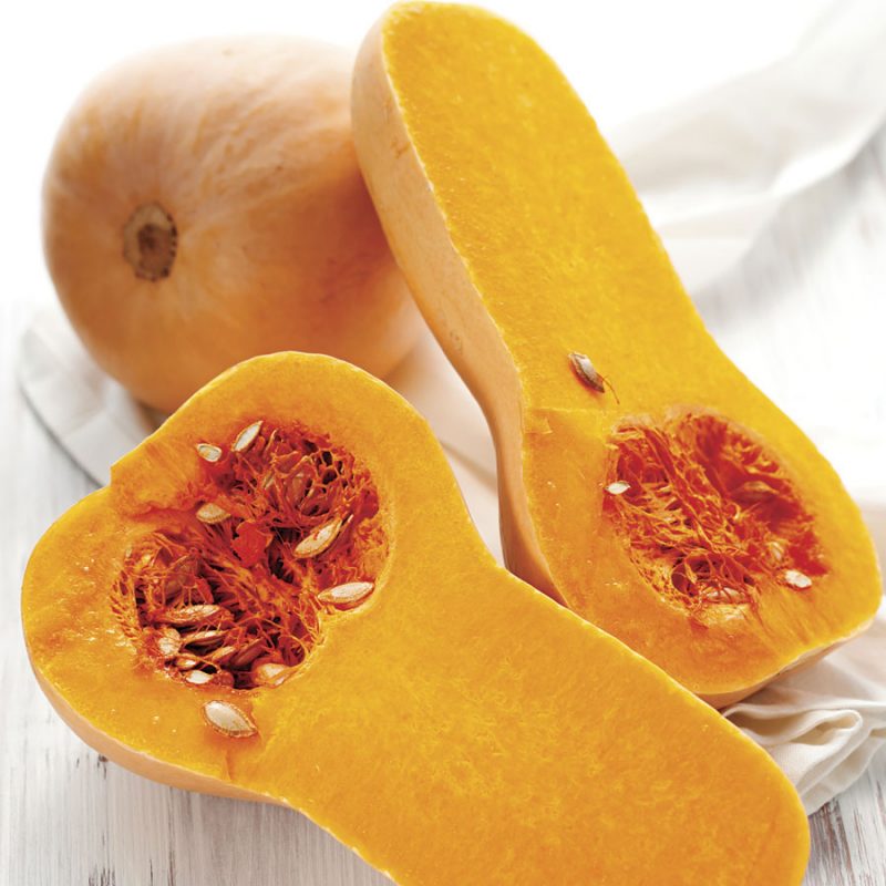 Early Butternut Hybrid Winter Squash Seeds | Gardenchamps.com