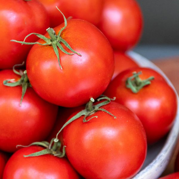 Early Darling Hybrid Tomato Seed | Gardenchamps.com